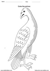 Coloring Art Activities and Pictures for Kids