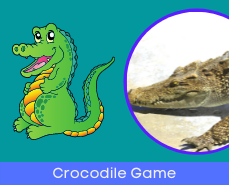 Math crocodile games for free online